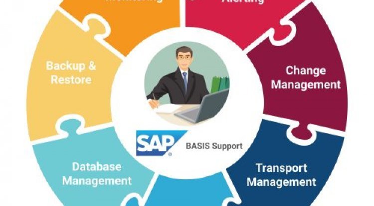 SAP Basis Course | SAP Basis Training Institute in Lucknow - Best ...